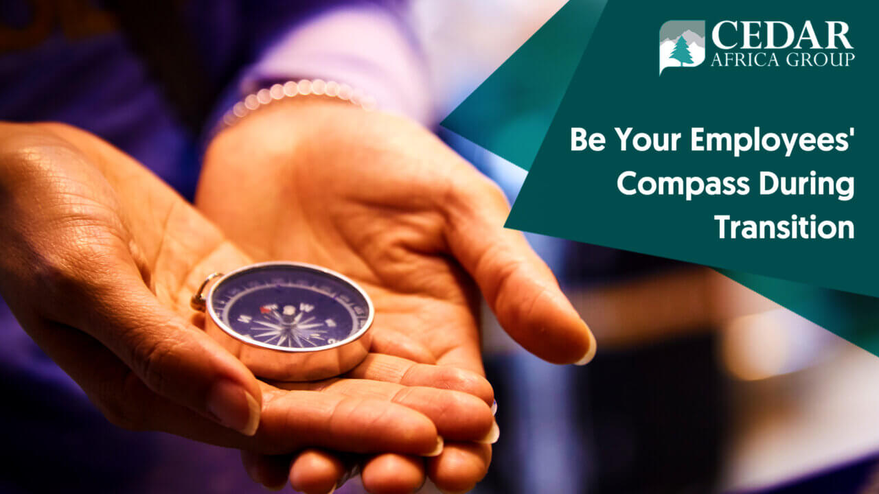 How Employee Outplacement Programs Fosters Career Transformation